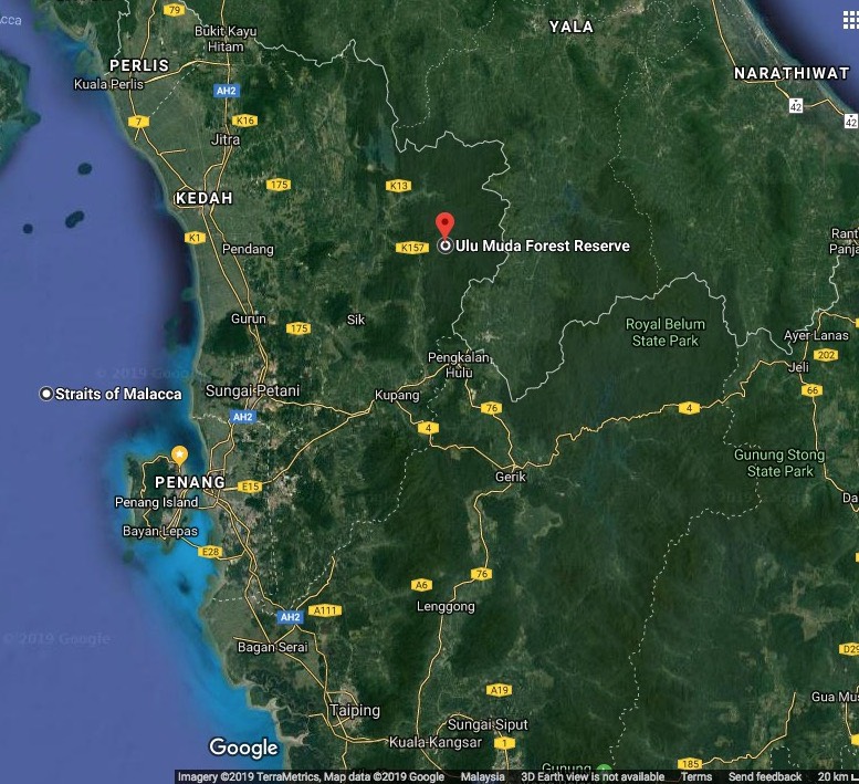 Protect Ulu Muda | Buletin Mutiara