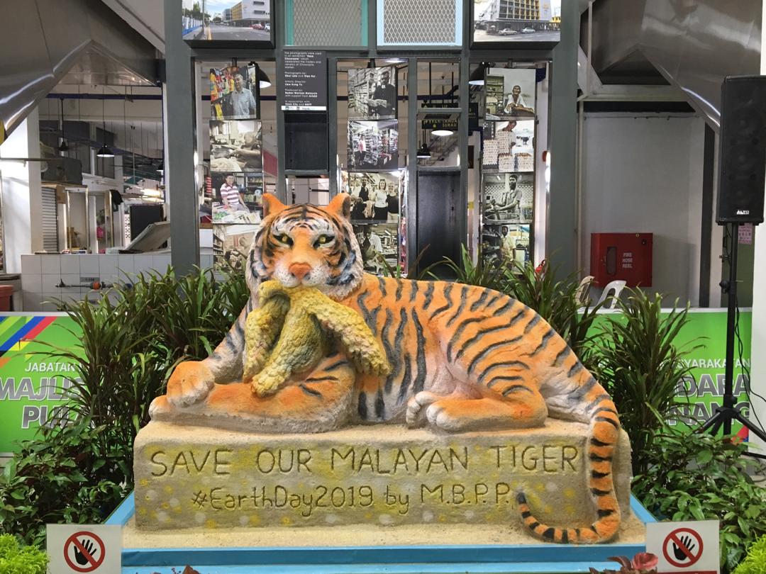 Sambutan Hari Bumi 2019: Arca pasir harimau Malaya ‘mengaum’ di Pasar ...