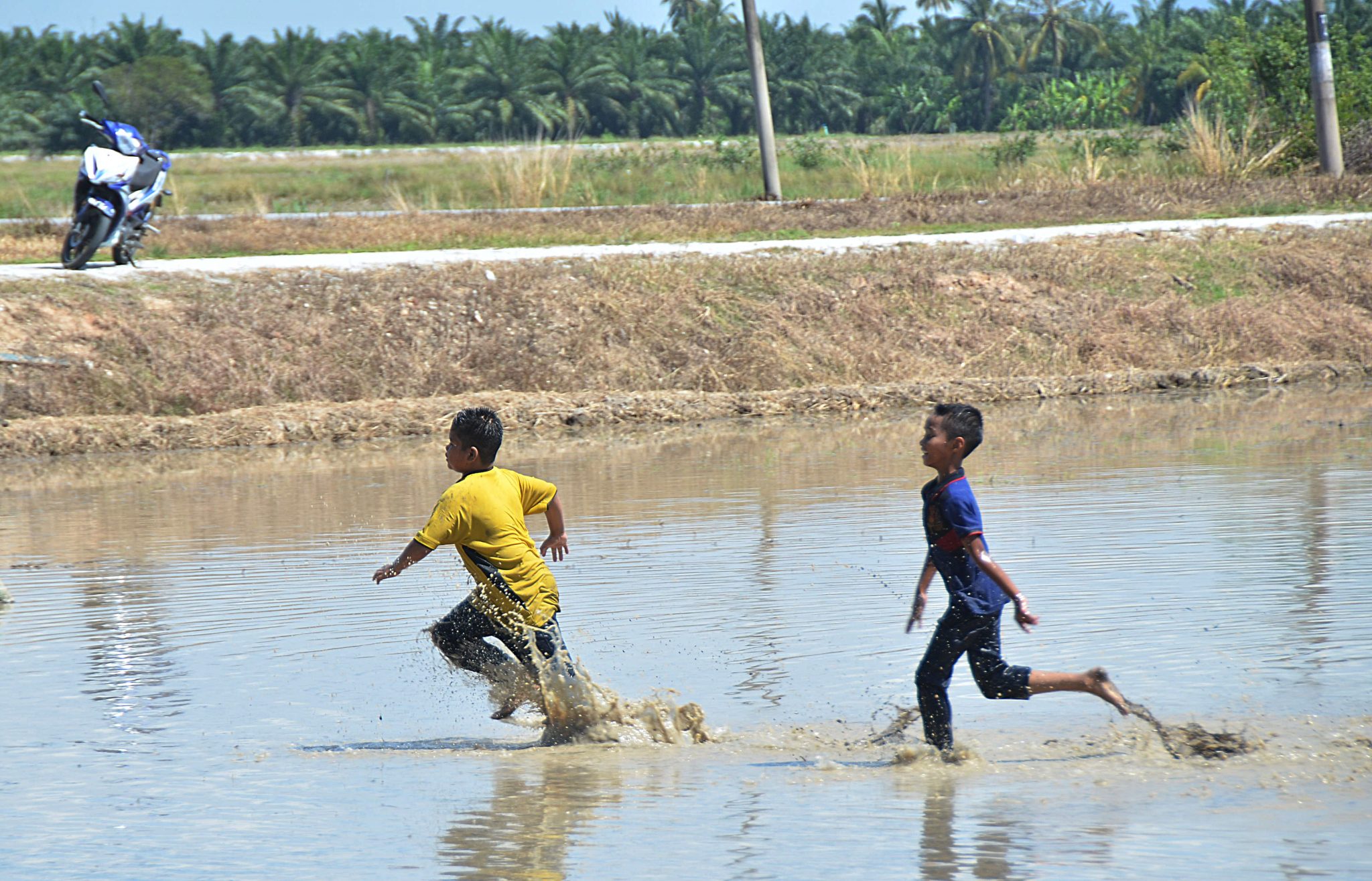 Fiesta Sukan Bendang kembalikan nostalgia aktiviti bersawah – ADUN ...