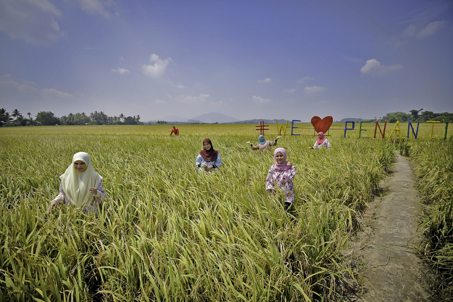 Penang International Paddy Festival clinches award | Buletin Mutiara