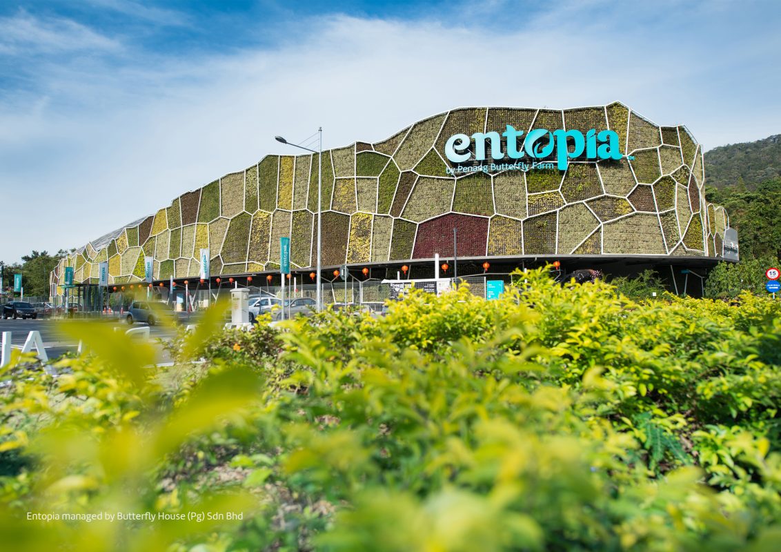 Entopia is rewarding its millionth visitor | Buletin Mutiara