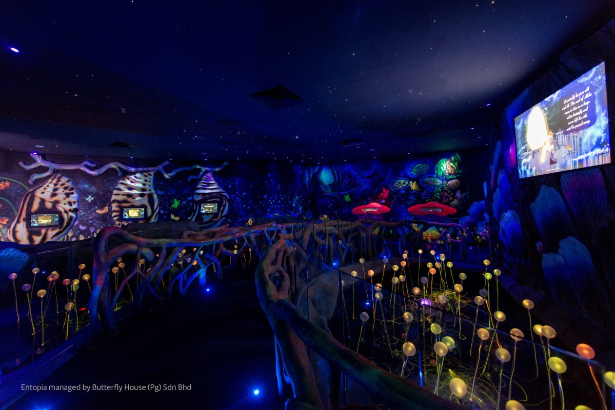 Entopia is rewarding its millionth visitor | Buletin Mutiara