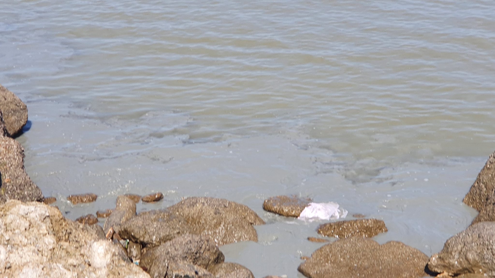 Fishermen explain ‘muddy sea water’ phenomenon | Buletin Mutiara