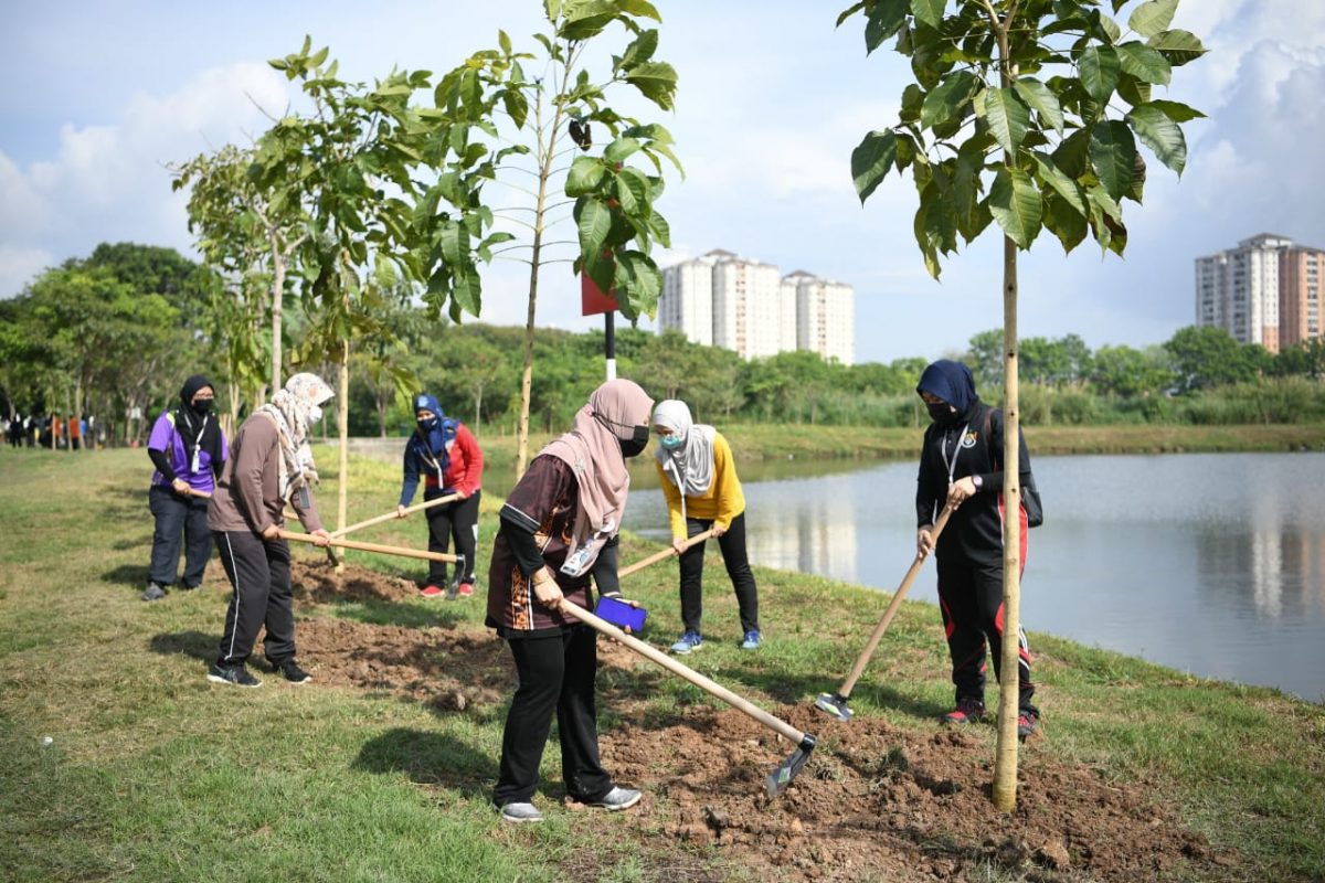 Penang to plant 500,000 trees by 2030 | Buletin Mutiara
