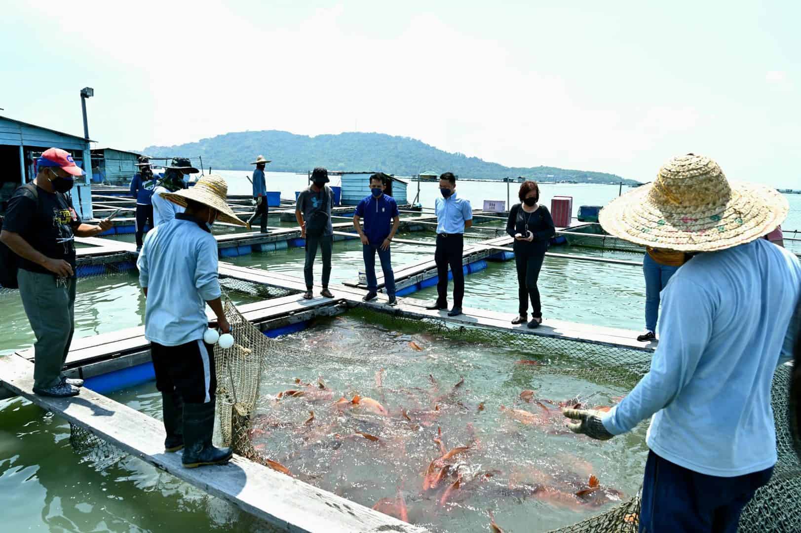 Perusahaan makanan laut, ikan sangkar tarikan produk ekonomi kreatif ...