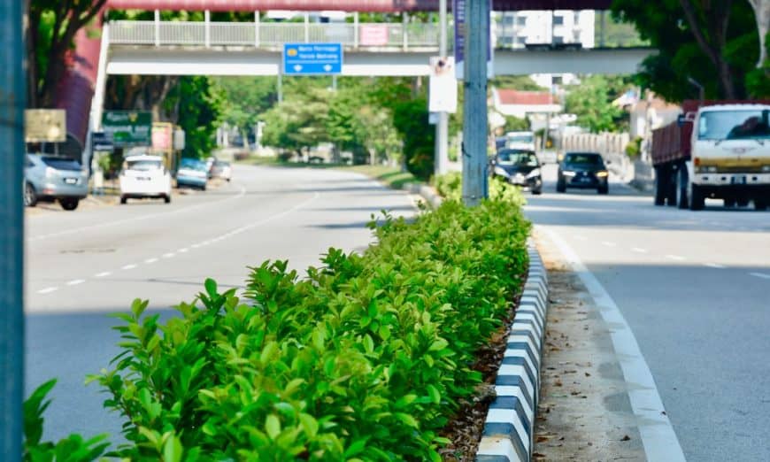 Tingkatkan nilai estetika jalan melalui penanaman pokok | Buletin Mutiara