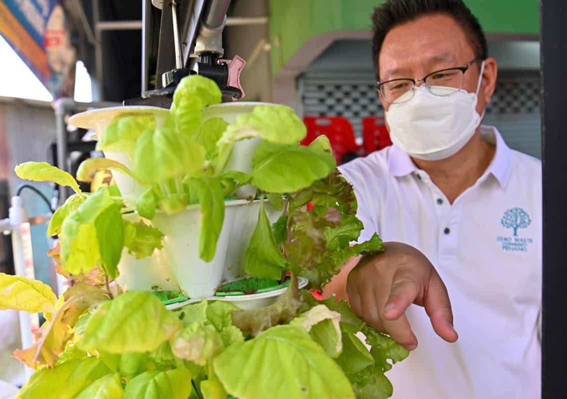 Program tanaman hidroponik bantu golongan B40 kurangkan kos sara hidup ...