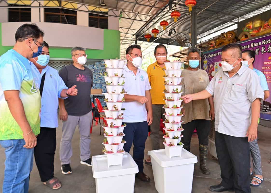 Program tanaman hidroponik bantu golongan B40 kurangkan kos sara hidup ...