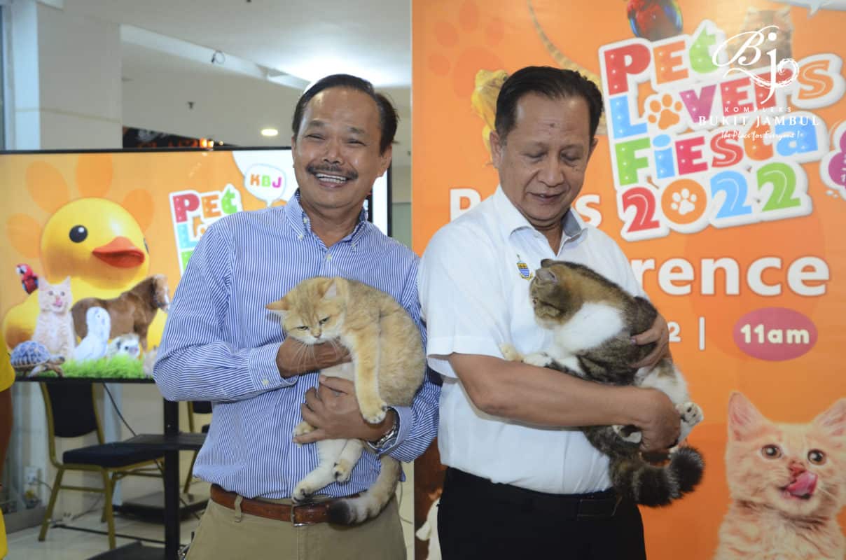 Mall welcomes shoppers to have a meow-derful time at KBJ Penang Pet ...