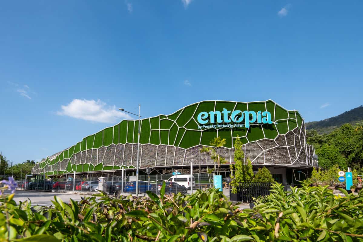 Entopia sponsors 10,000 students for nature learning programme ...