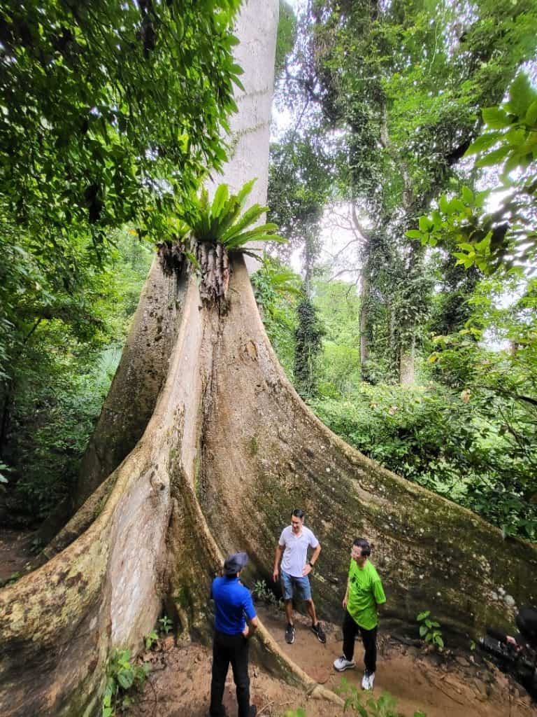 Taman Eko Rimba Bukit Mertajam kembali dibuka, 1 Februari 2024 ...