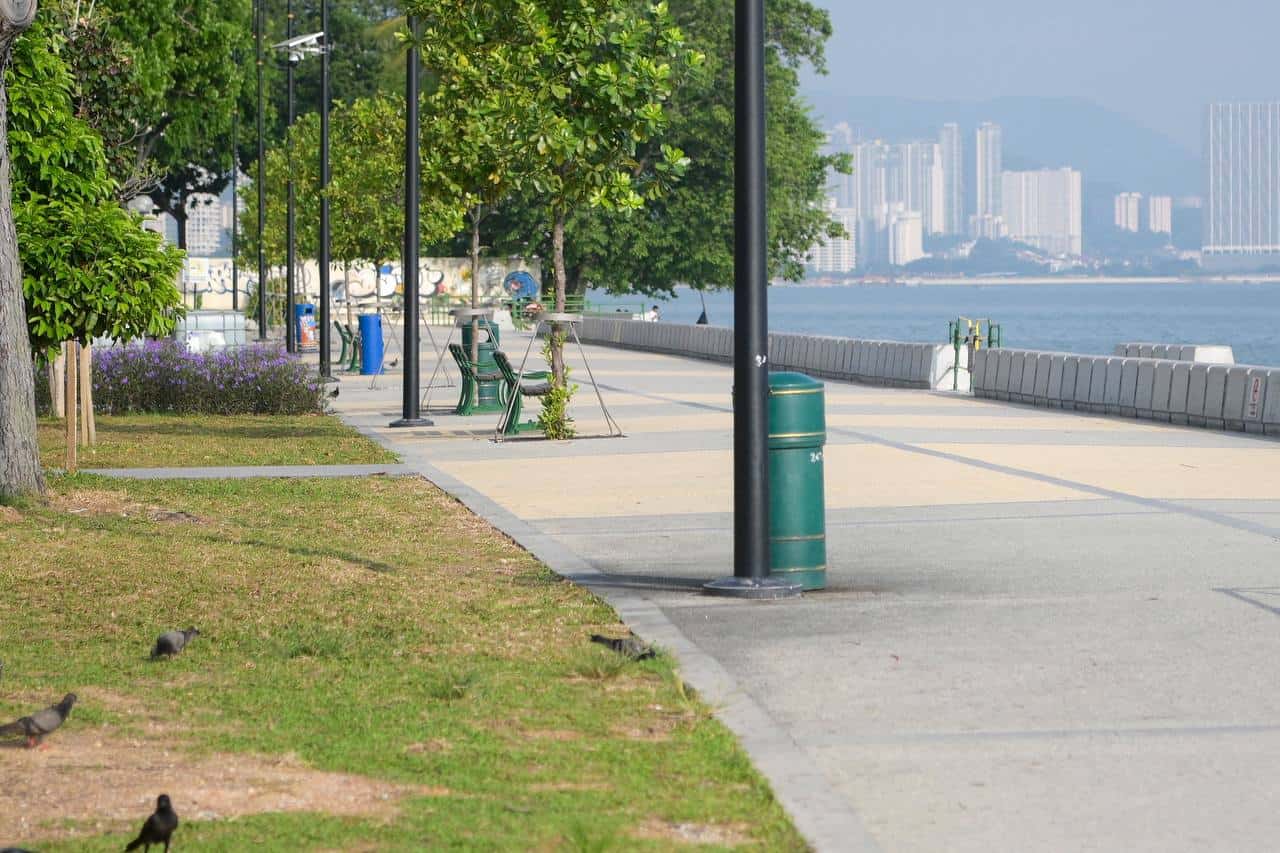 Time to do away with rubbish bins at Linear Park in Esplanade, says ...