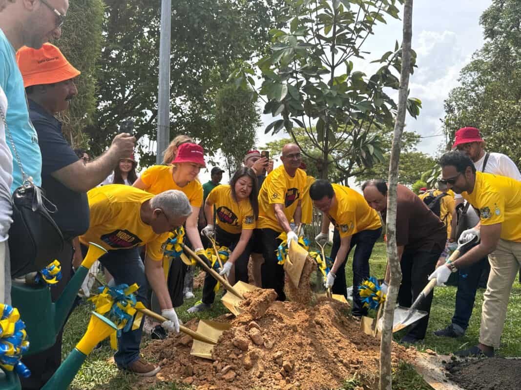 MBPP pledges to increase tree-planting efforts | Buletin Mutiara