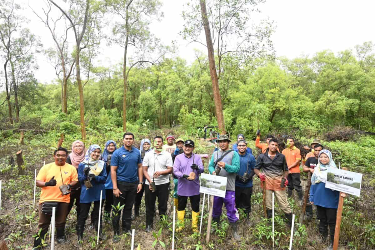 MBSP tanam 300 pokok bakau, pelihara kawasan 'flyway site' EAAF ...