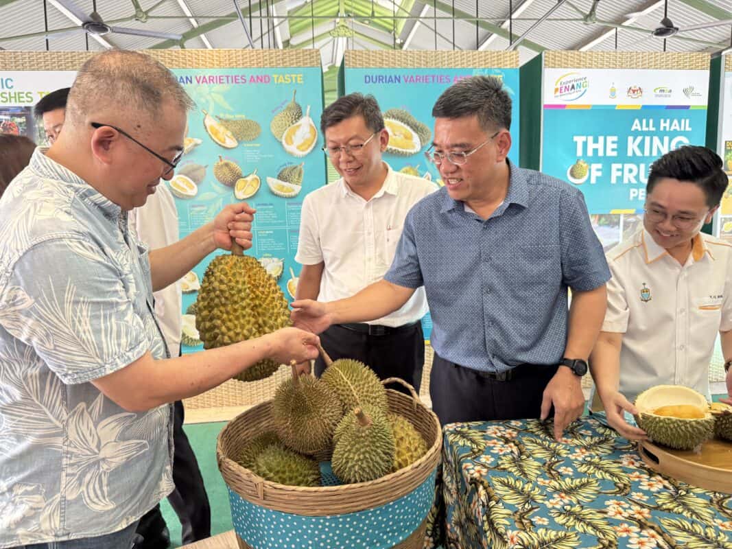 Musim durian bermula, sasar jadi produk pelancongan negeri | Buletin ...