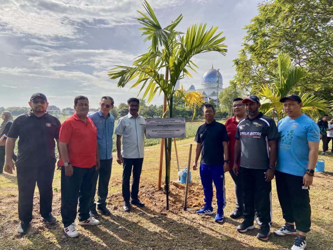 Sasar tanam 100,000 pokok pinang menjelang Oktober | Buletin Mutiara