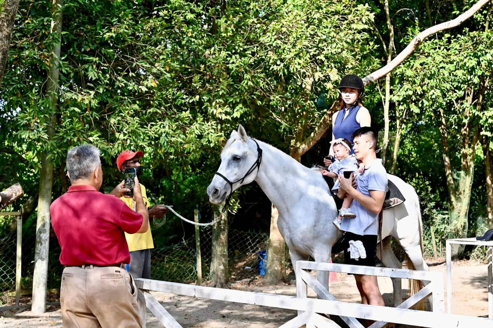 Family-operated countryside stable brings nature and horse riding ...