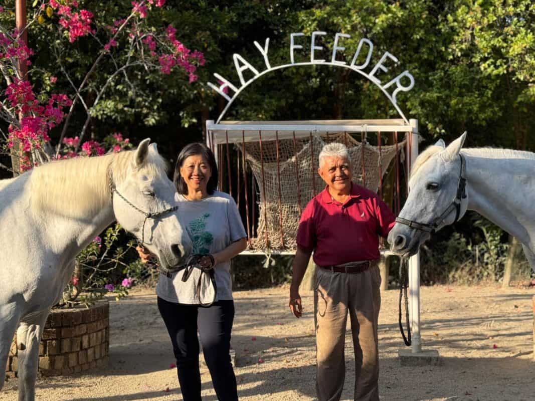 Family-operated countryside stable brings nature and horse riding ...